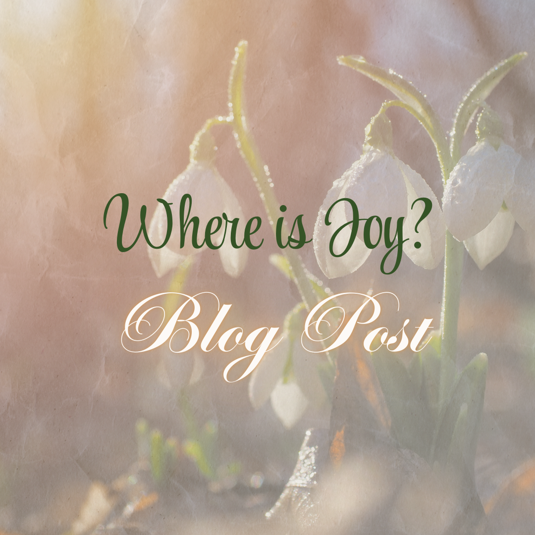 Where is Joy? – Forest Idylls